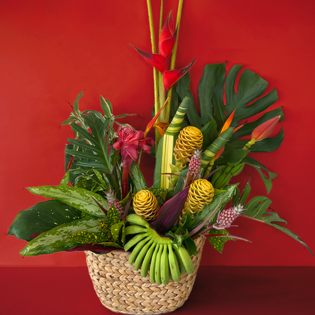 Tropical Treasures – Greenchoice Flowers