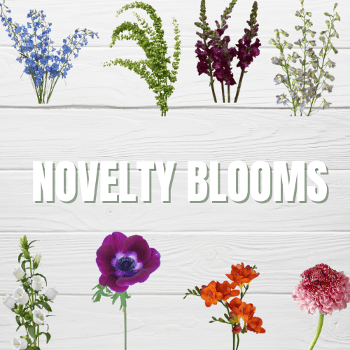 Build Your Box – Greenchoice Flowers