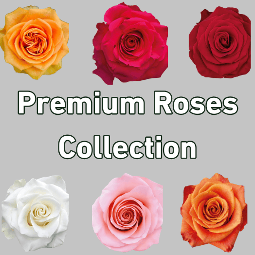 Build Your Box – Greenchoice Flowers