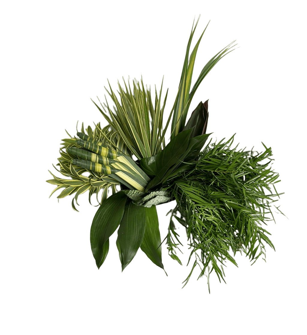 Tropical Combo Foliage Botanical Box – Greenchoice Flowers