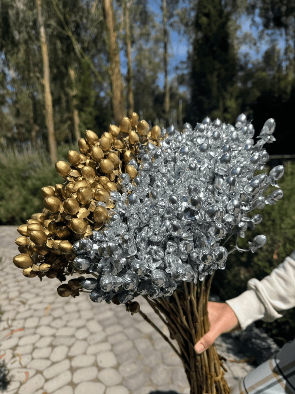 Metallic Gold & Silver Tinted Limonium – 250g Bunches (8-Bunch Box ...