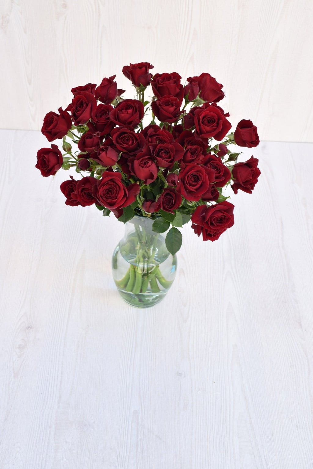 Red Spray Rose Wholesale Fresh Cut Flower – Greenchoice Flowers