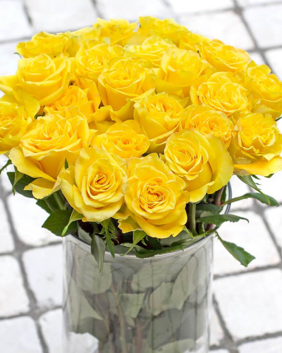 Pink Floyd Rose Fresh Cut – Premium Farm Direct Roses – Greenchoice Flowers