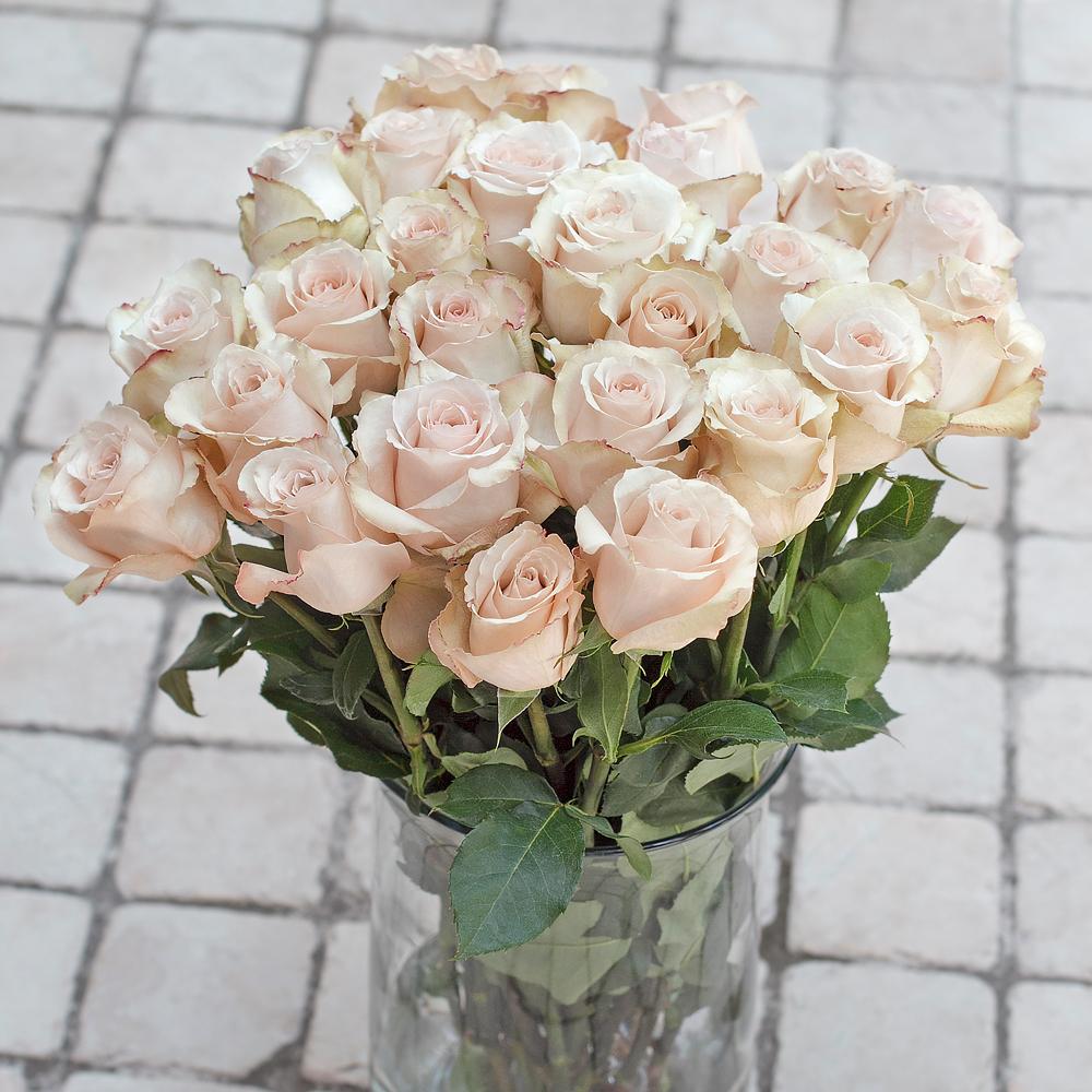 Quicksand Novelty Wedding Rose - Cream Beige Blush – Greenchoice Flowers
