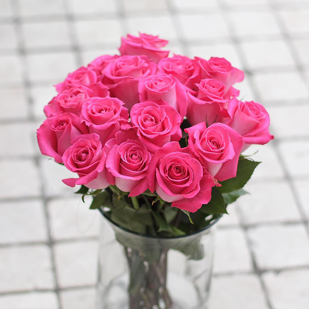 Pink Ecuadorian Rose Fresh Cut 24-36 st – Greenchoice Flowers