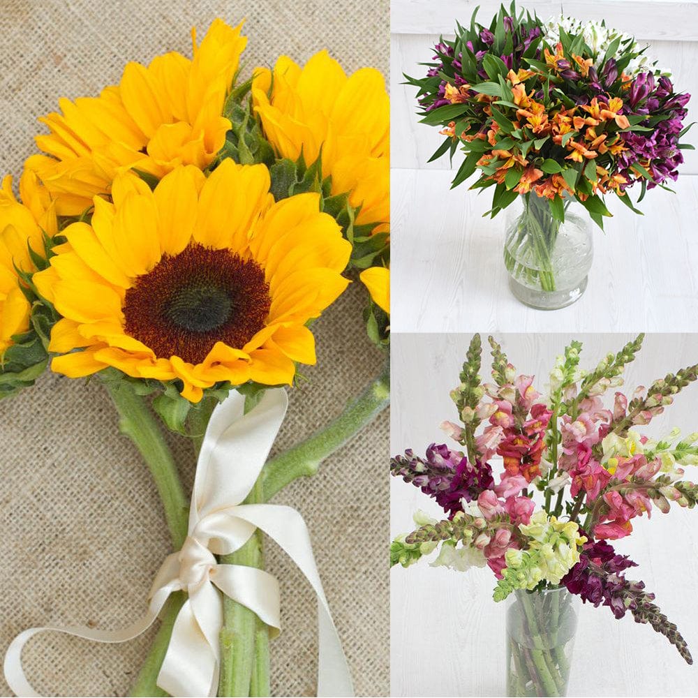 Essentials Flower Combo Box – Greenchoice Flowers